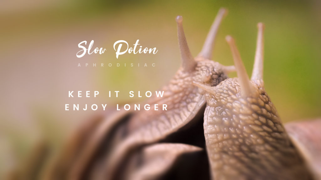 Slow Potion – Wildshot Productions
